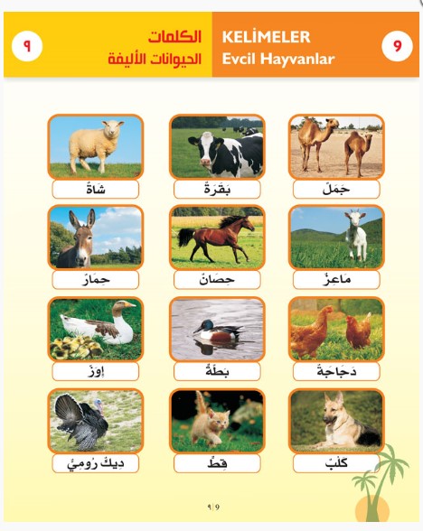 Visual Arabic – Akdem Publishing